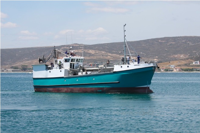 T83 For Sale South Africa Boats For Sale Used Boat Sales Commercial T83 For Sale South Africa Boats For Sale Used Boat Sales Commercial
