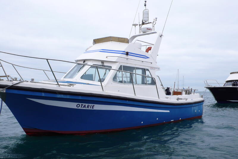 Lochin L333 HP for sale UK, Lochin boats for sale, Lochin used boat ...
