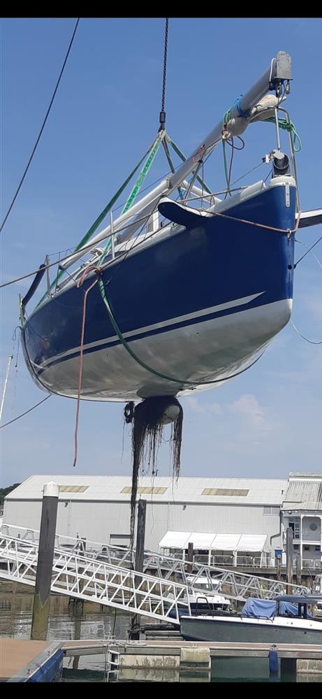 Bull 7000 for sale UK, Bull boats for sale, Bull used boat sales, Bull ...