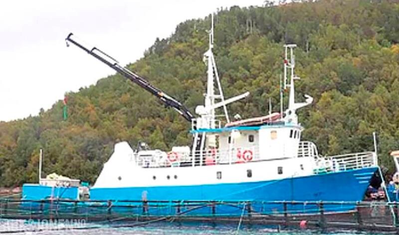 Boats for sale Norway, boats for sale, used boat sales, Commercial ...